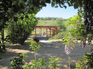 Activities - KQ Ranch Resort